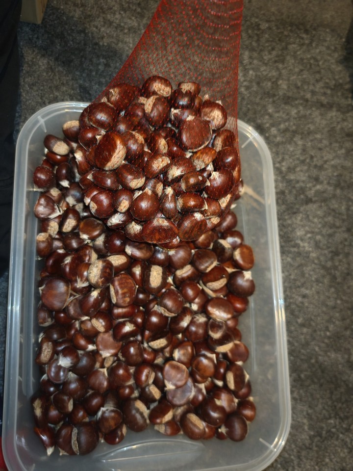 1 KG Fresh Grade A Sweet Chestnuts,Naturally Grown ( UNCOOKED) | eBay UK