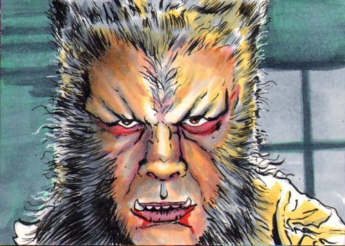 Curse of the Werewolf Hammer Horror Card SET SKETCH PRINTS signed M ...