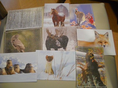 9 pcs Crane Creek Graphics Holiday Wildlife Christmas Cards Henry ...