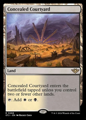 Concealed Courtyard OTJ LP MTG | eBay