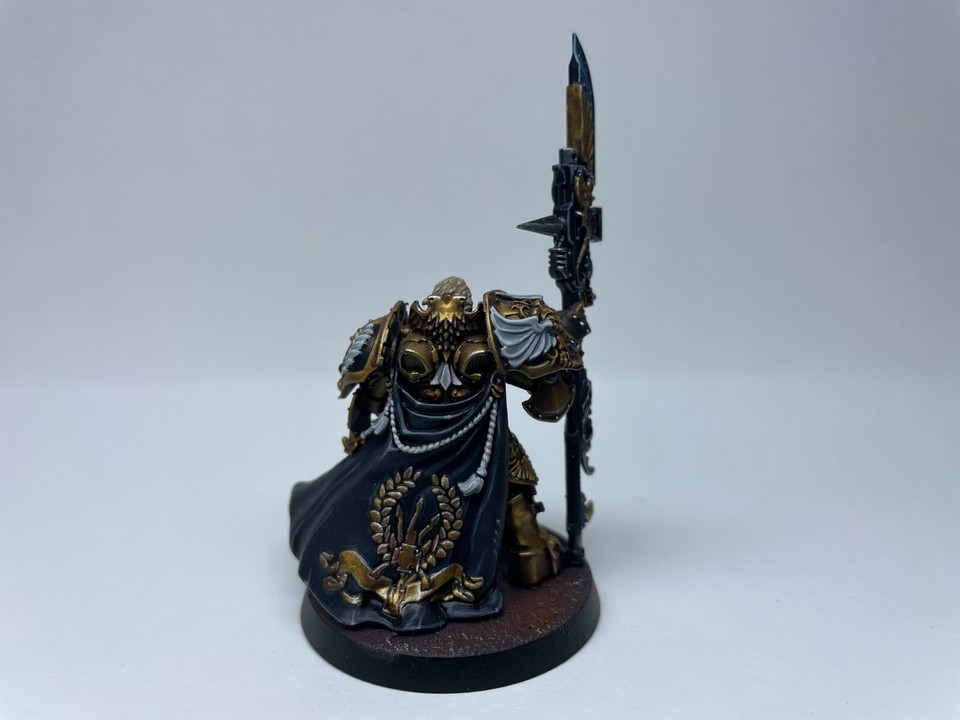 Warhammer 40k Adeptus Custodes Shield Captain Pro Painted | eBay