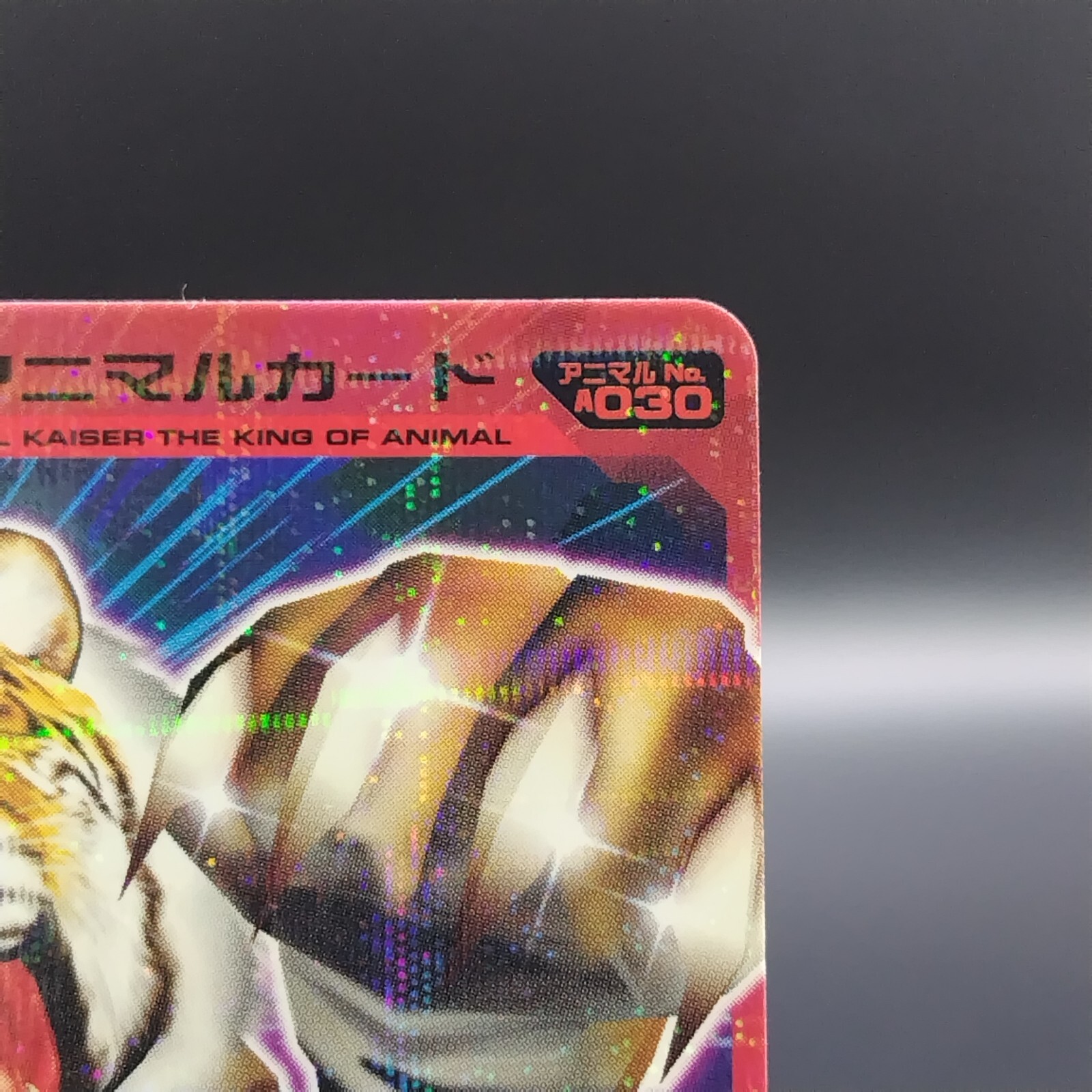 Panthera tigris tigris Animal kaiser Holo Card Japanese 2008 BANDAI ...