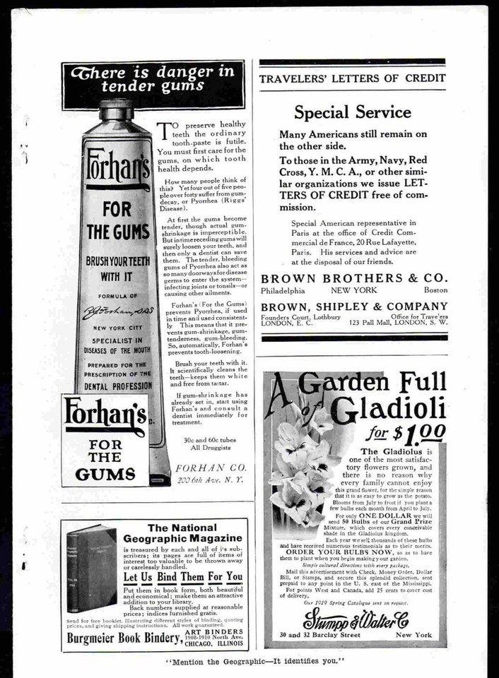 1919 Print Ad Forhans Tooth Powder Danger In Tender Gums Garden Of ...