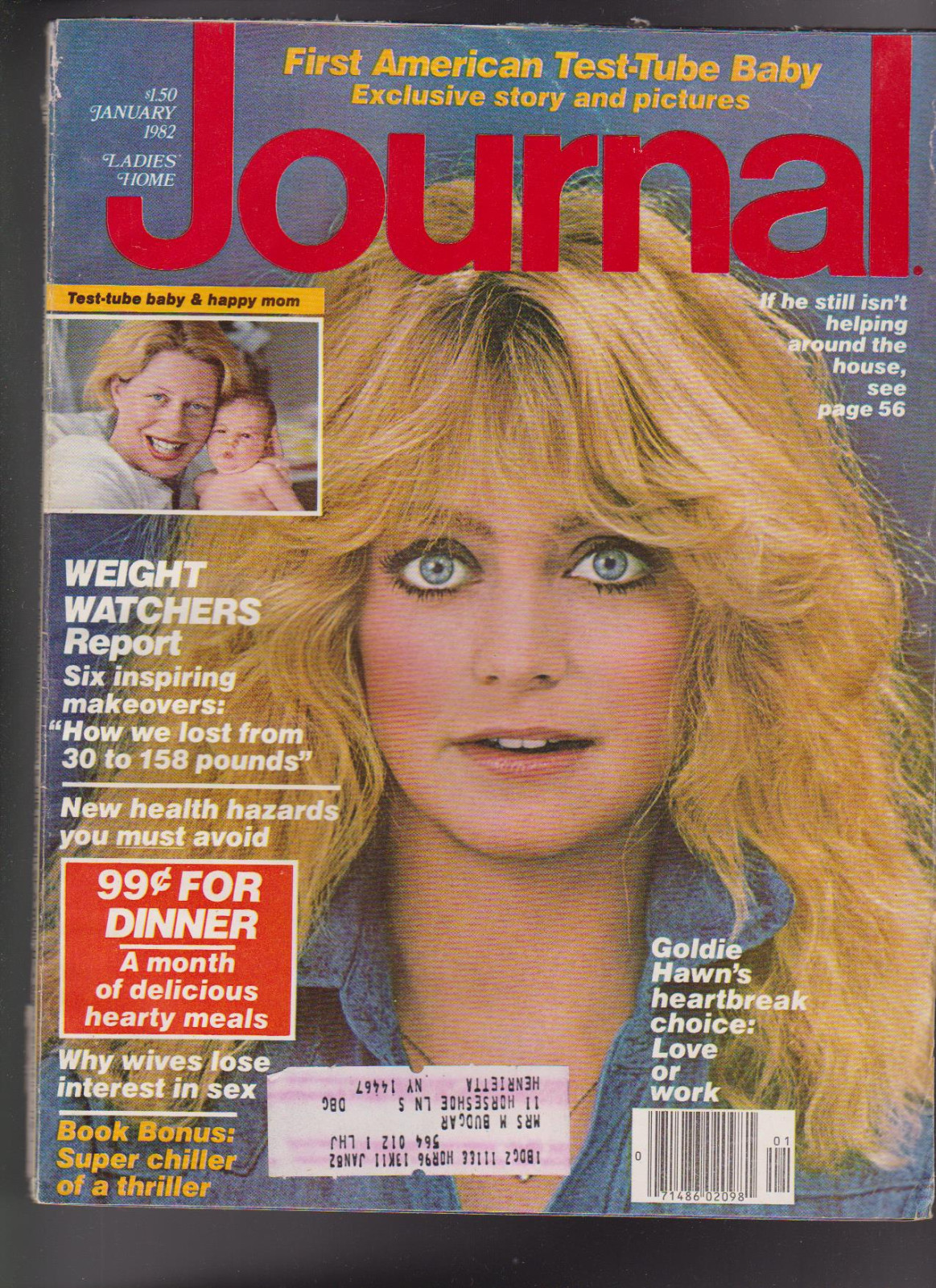 Damen Home Journal Goldie Hawn Samantha Stahl Reagenzglas Baby Januar