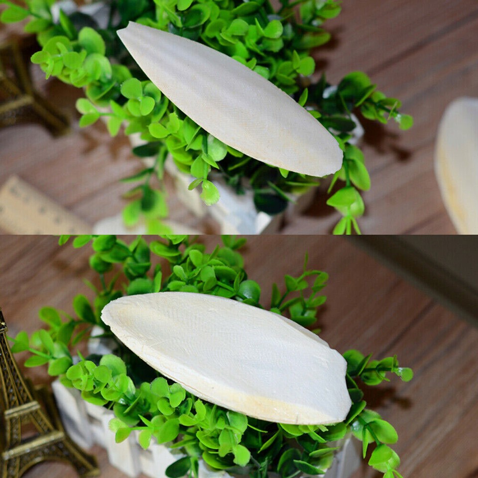 10-20X Large 10CM 3.94" Cuttlebone For Bird Parrots Cuddle Bone W/Box ...