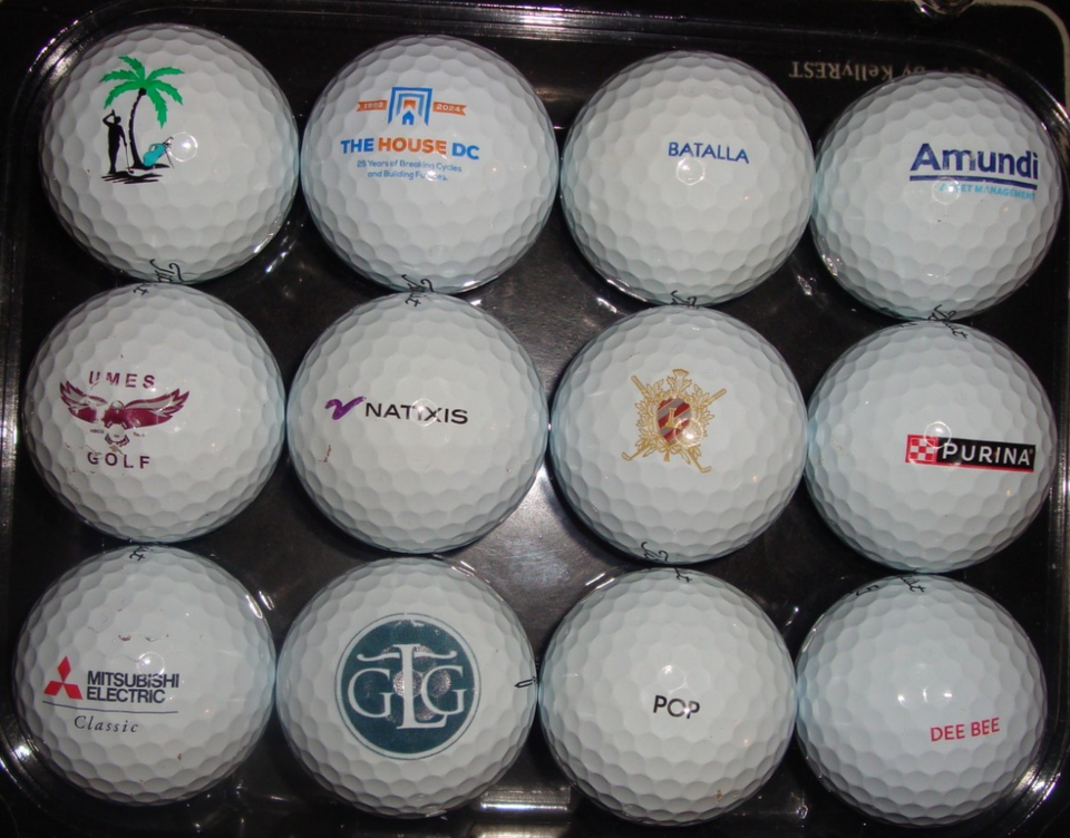 12 Titleist Pro V1 logo golf balls 2024 near mint | eBay