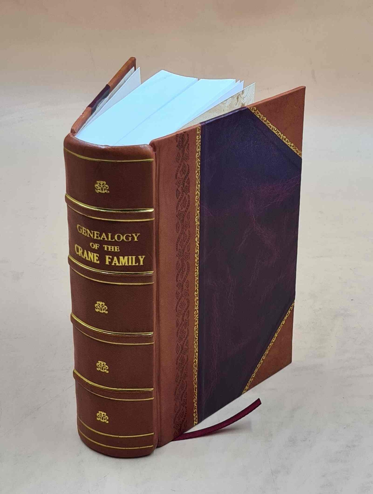 Genealogy Of The Crane Family Descendants Of Benjamin Crane Of W ...