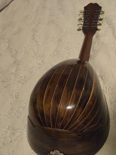 Vintage M.Iucci Italian Handmade Bowlback Mandolin | eBay