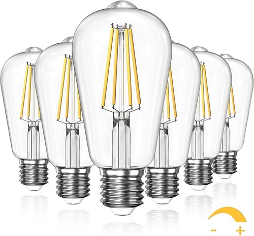 Dimmable E26 LED Edison Light Bulbs 60 Watt 6 Count (Pack of 1), St64 ...