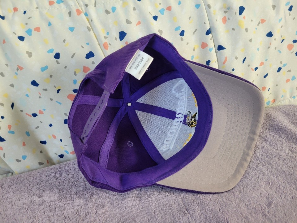 2000 Central NFC Division Minnesota Vikings Snapback Cap . | eBay