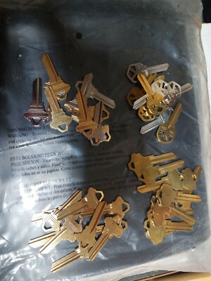 40 Assorted Key Blanks w/ a few mystery bonus blanks | eBay