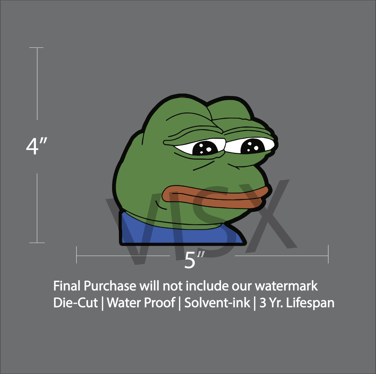 Funny Frog Cartoon Meme