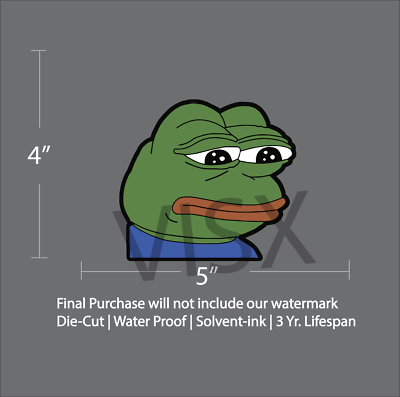 Funny Frog Cartoon Meme