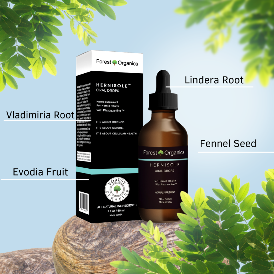 Herbal Collection for Hernia Health Umbilical,Femoral Hernia,Inguinal ...