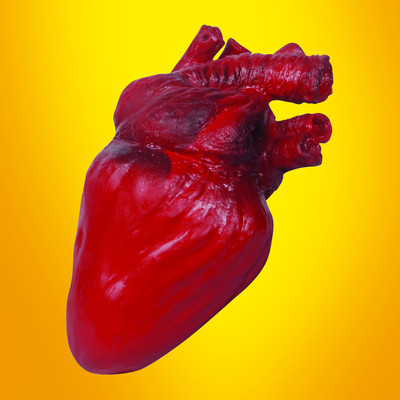 FAKE HEART - Magic & Party Tricks | eBay