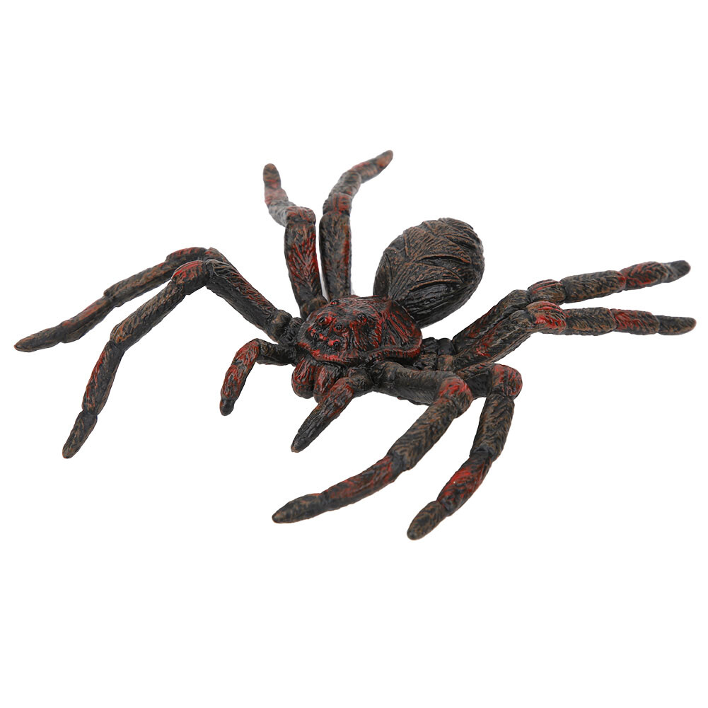 Realistic Spiders Insect Model Animal Model Figurine Educational Toy ...