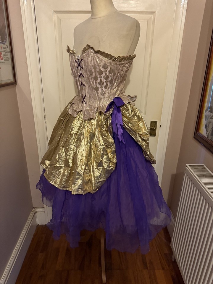 WOMENS PANTOMIME PRINCIPAL GIRL FAIRY COSTUME DRESS PANTO THEATRE ...