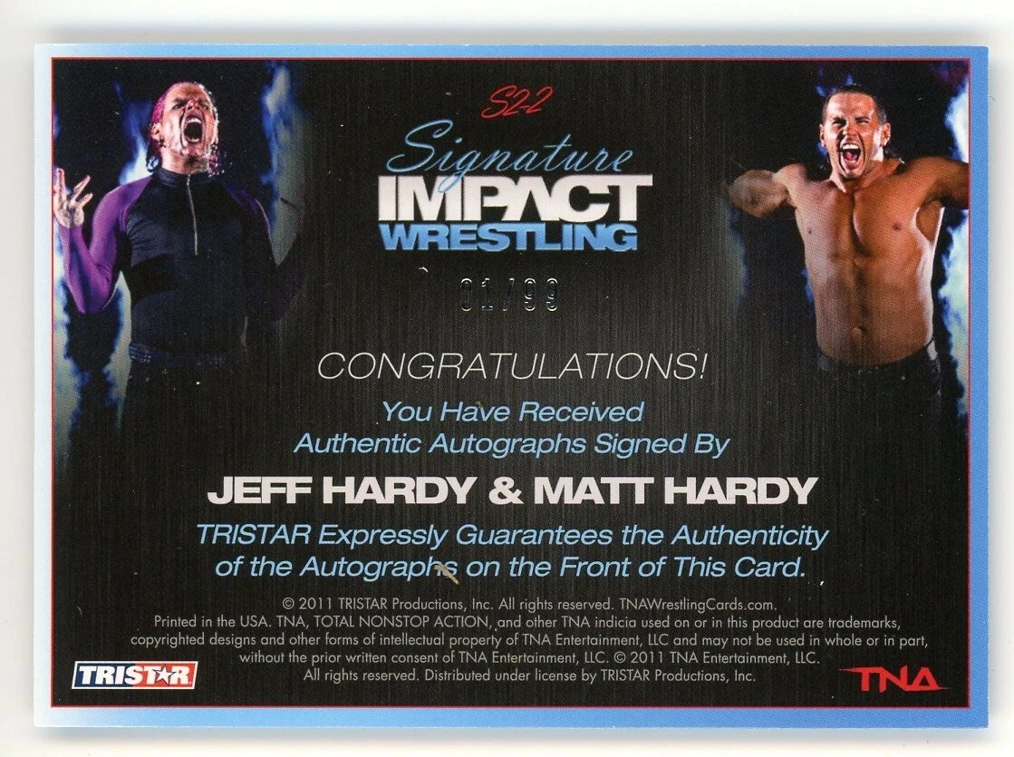 Matt Hardy 2011