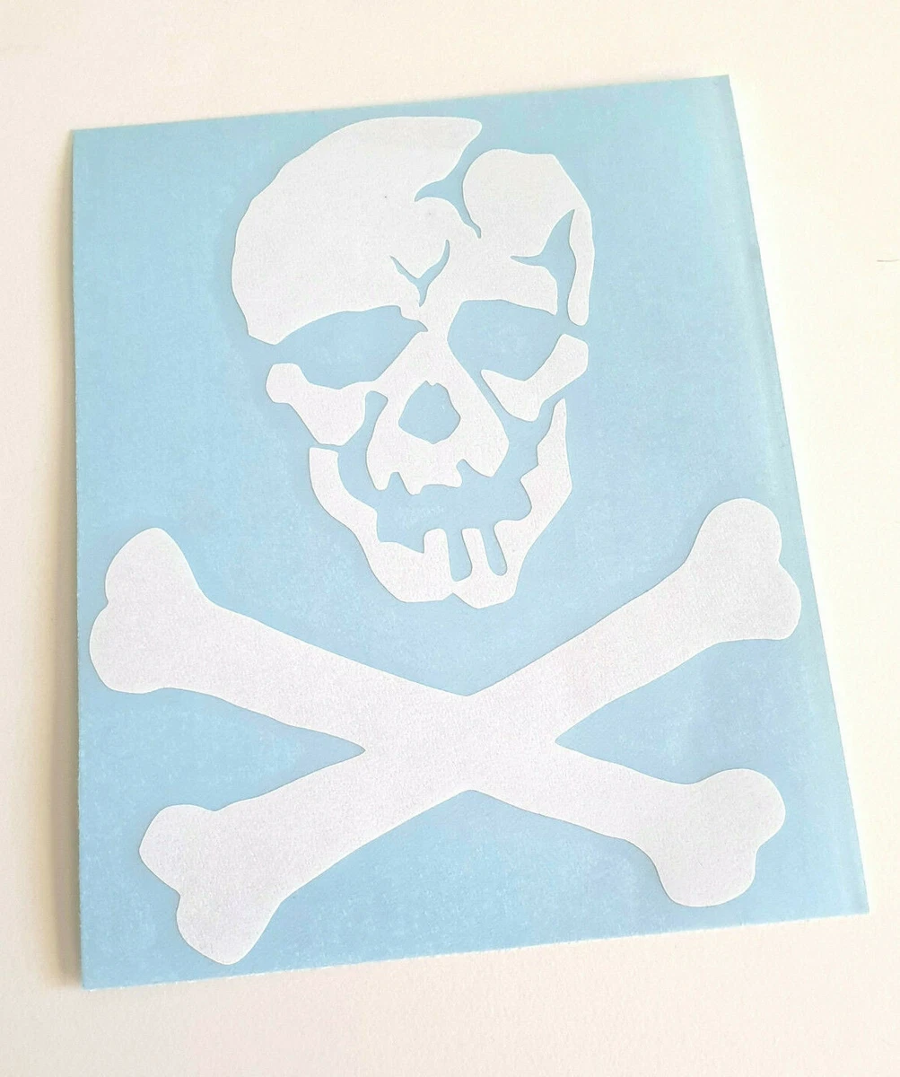 Robotech Skull Squadron