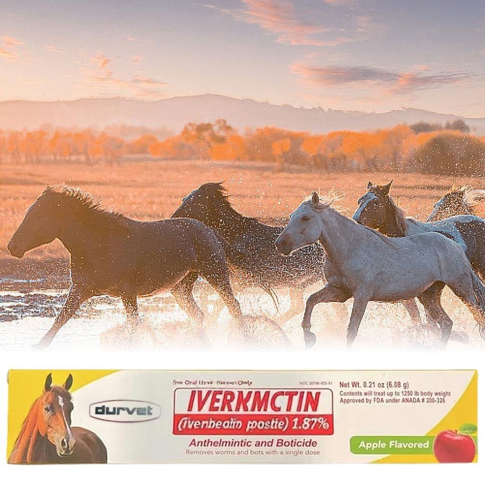 5PCS Paste Horse Dewormer - Apple Flavor Exp 3/2027 Anthelmintic ...