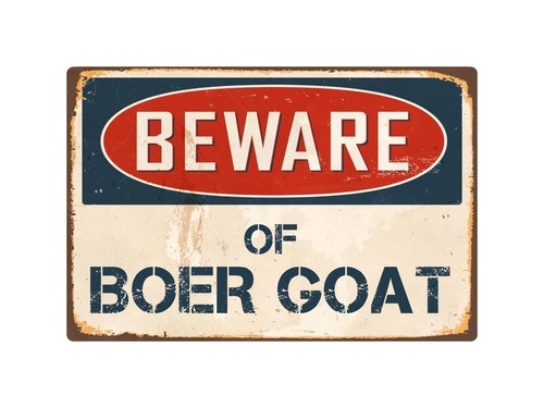 Beware Of Boer Goat 8" x 12" Vintage Aluminum Retro Metal Sign VS065 | eBay