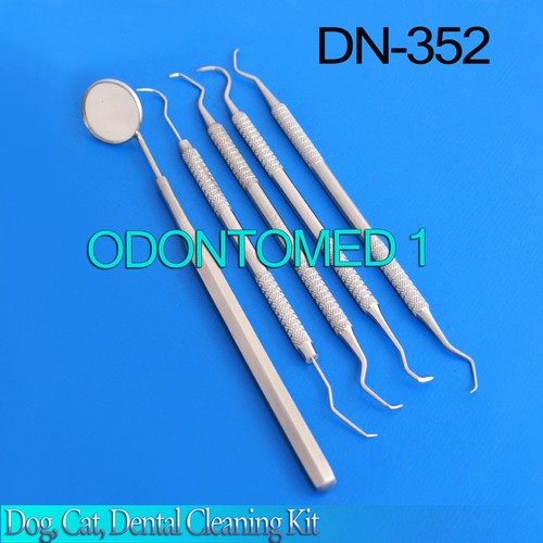 Basic Dental Exam Kit, Oral Examination Set Dn-352 | eBay