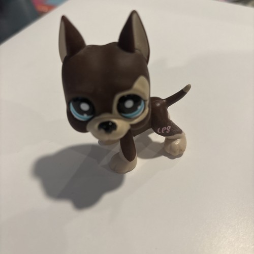 LPS Littlest Pet Shop #817 Great Dane Dog Brown w/Aqua Blue Green Eyes ...