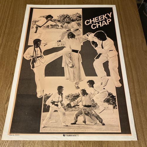 Cheeky Chap - Litho Poster 71cm X 51cm Kung-Fu | eBay