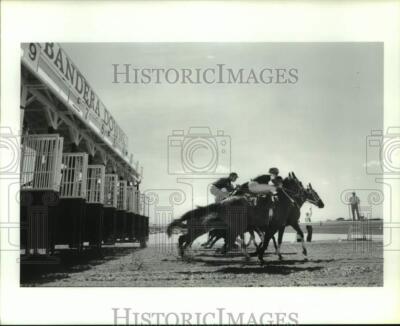 1992 Press Photo Racehorses leave starting gate at Bandera Downs in San ...