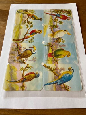 Alte Oblaten Glanzbilder Vögel Tiere Bogen EAS 3055 Chromos Victorian ...