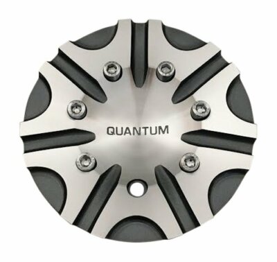 Quantum Wheels QT106-L175-GAL Silver Wheel Center Cap | eBay