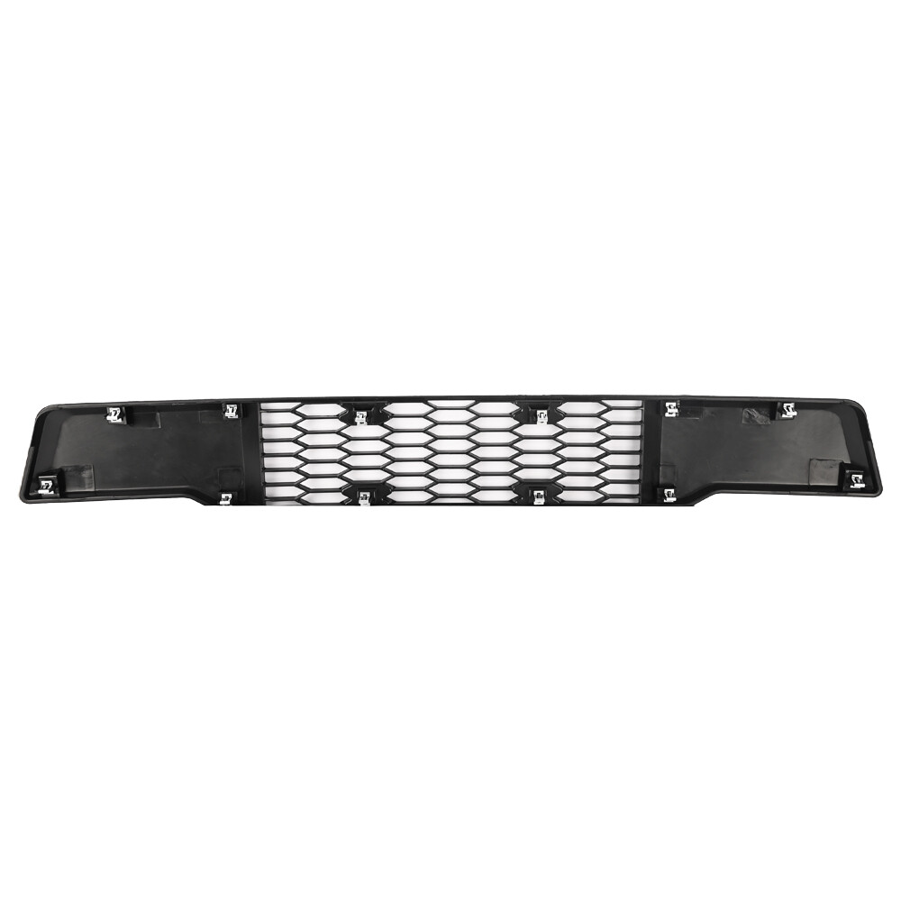 For 2017 - 2020 Ford F150 Raptor Front Bumper Lower Grille Insert | eBay