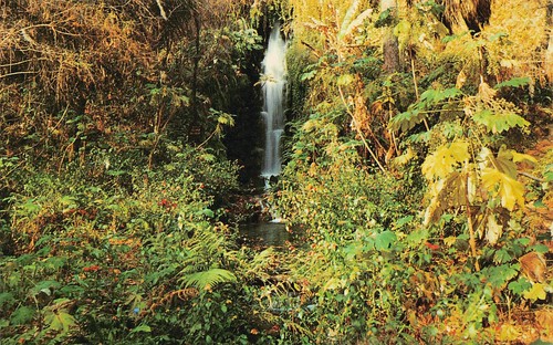 Dunnellon Florida FL Rainbow Springs State Park Waterfall Falls Vtg ...