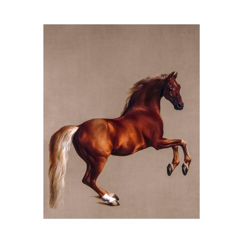 George Stubbs, Whistlejacket, 1762, Canvas Print, 11" x 14" + Border | eBay