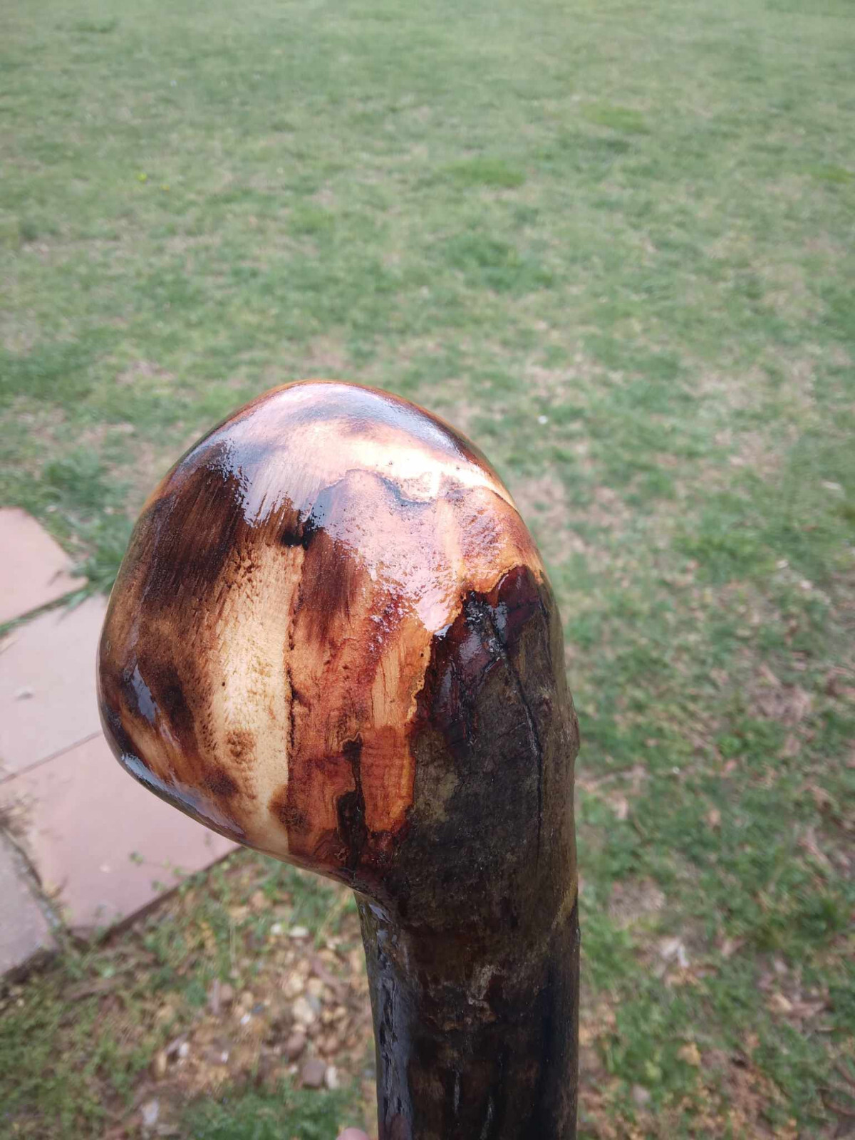 Hickory wood root burl ball fish tire knocker shillelagh cudgel warclub ...