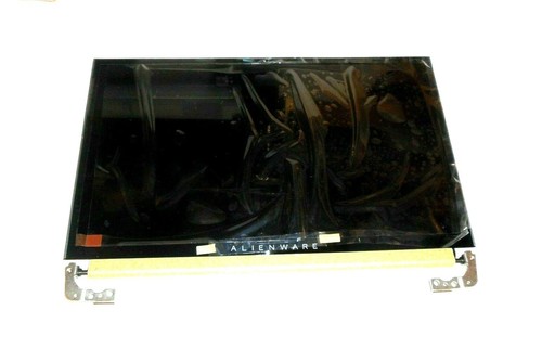 NEW Dell Alienware Area 51m R2 ALWA51M 17.3" LCD Screen Complete NIA01 ...