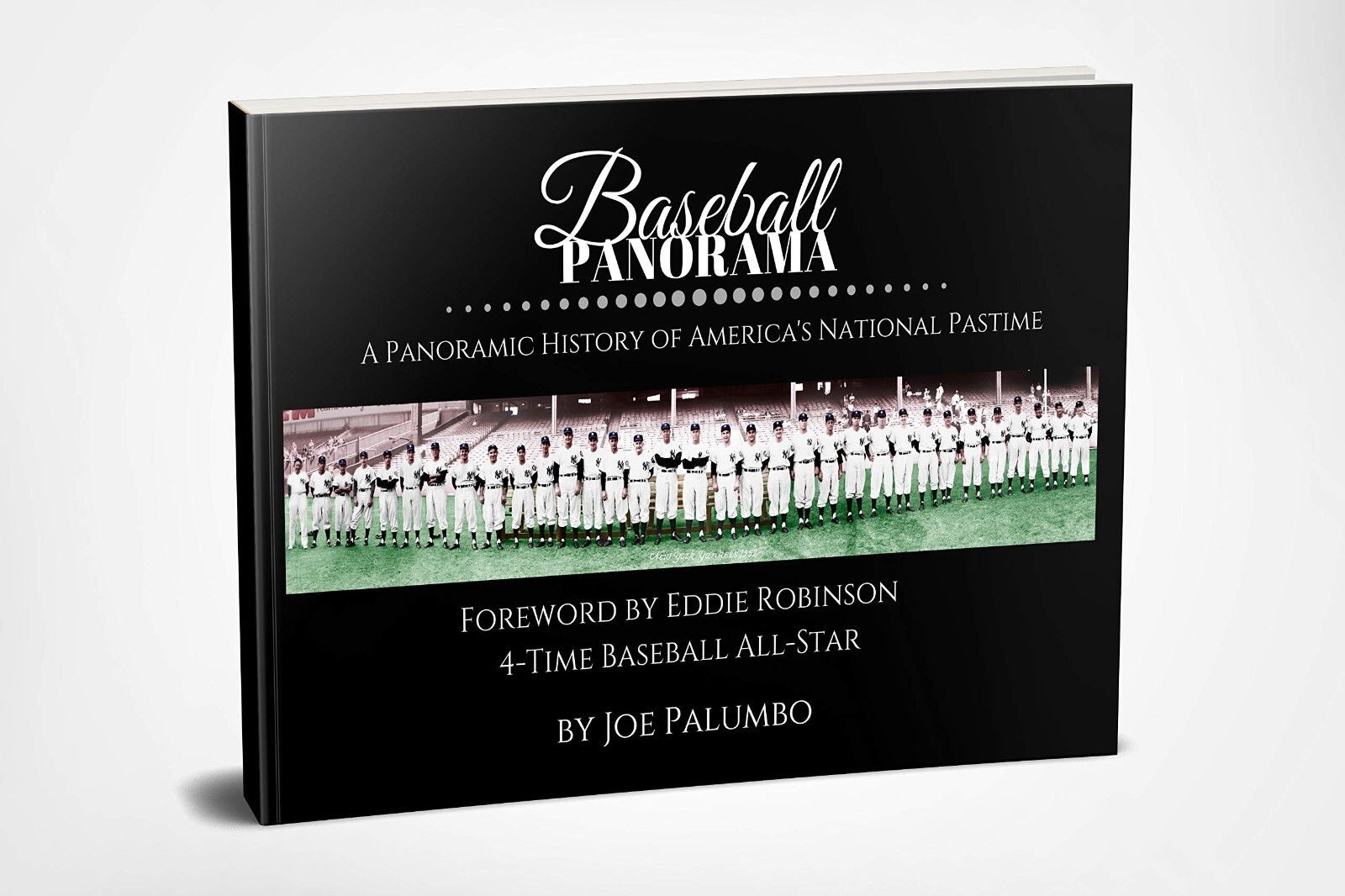 Baseball Panorama Book by Joe Palumbo-FREE SHIPPING | eBay