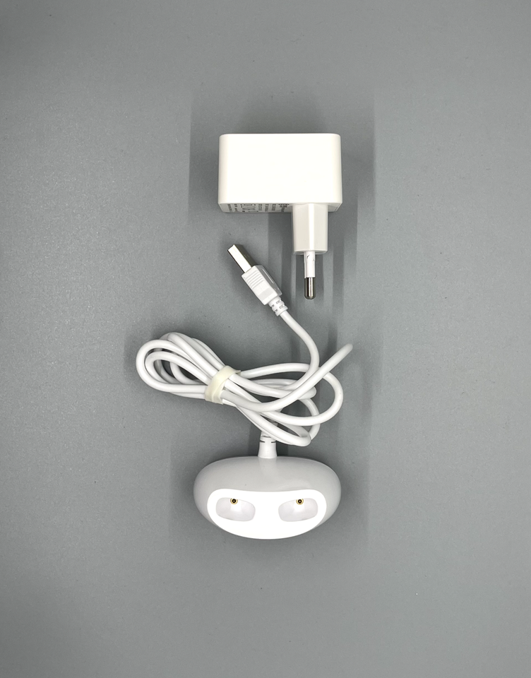 Signia Pure Charge & GO 1AX RIC Hearing Aid (Single) + Charger | eBay