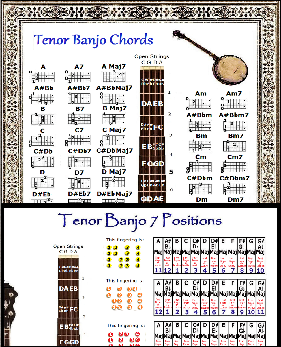 100 Banjo Chords