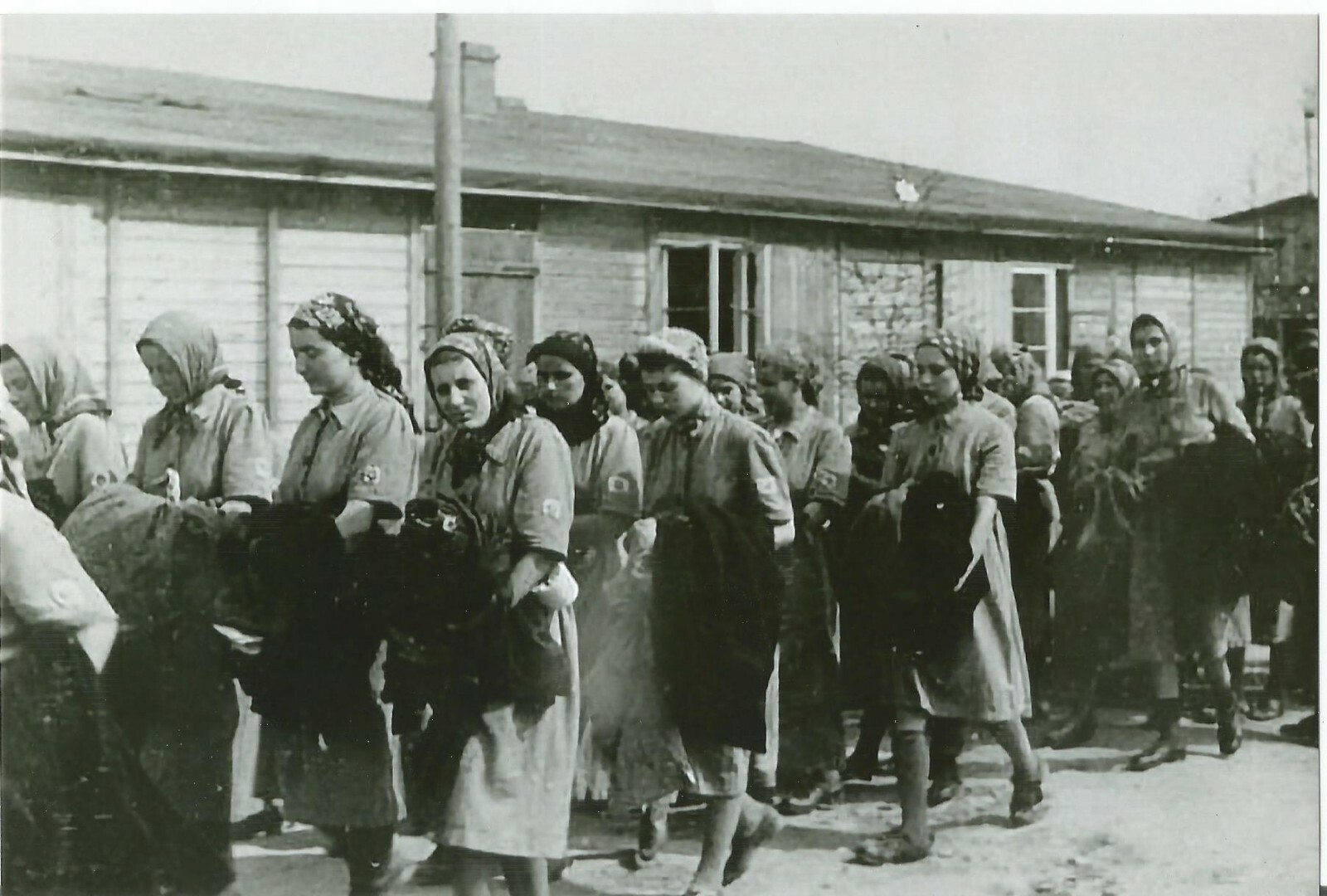 WW II German Photo . Jewish Women - Concentration Camp. | eBay