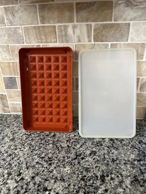 VINTAGE TUPPERWARE Bacon Deli Meat Keeper 794 PAPRIKA 11x7x2" Container ...