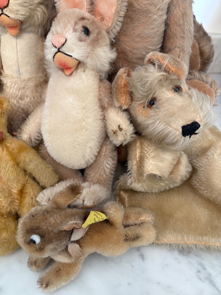 antique steiff collection as found | eBay