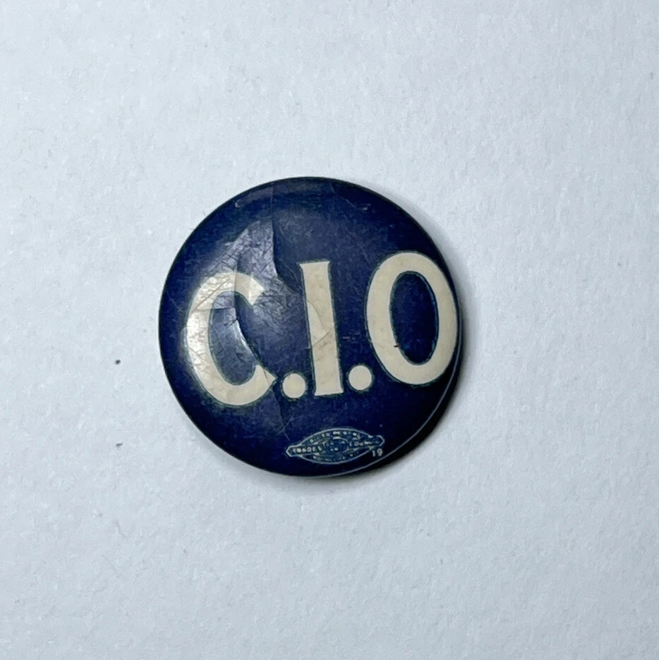 The Congress Of Industrial Unions Cio