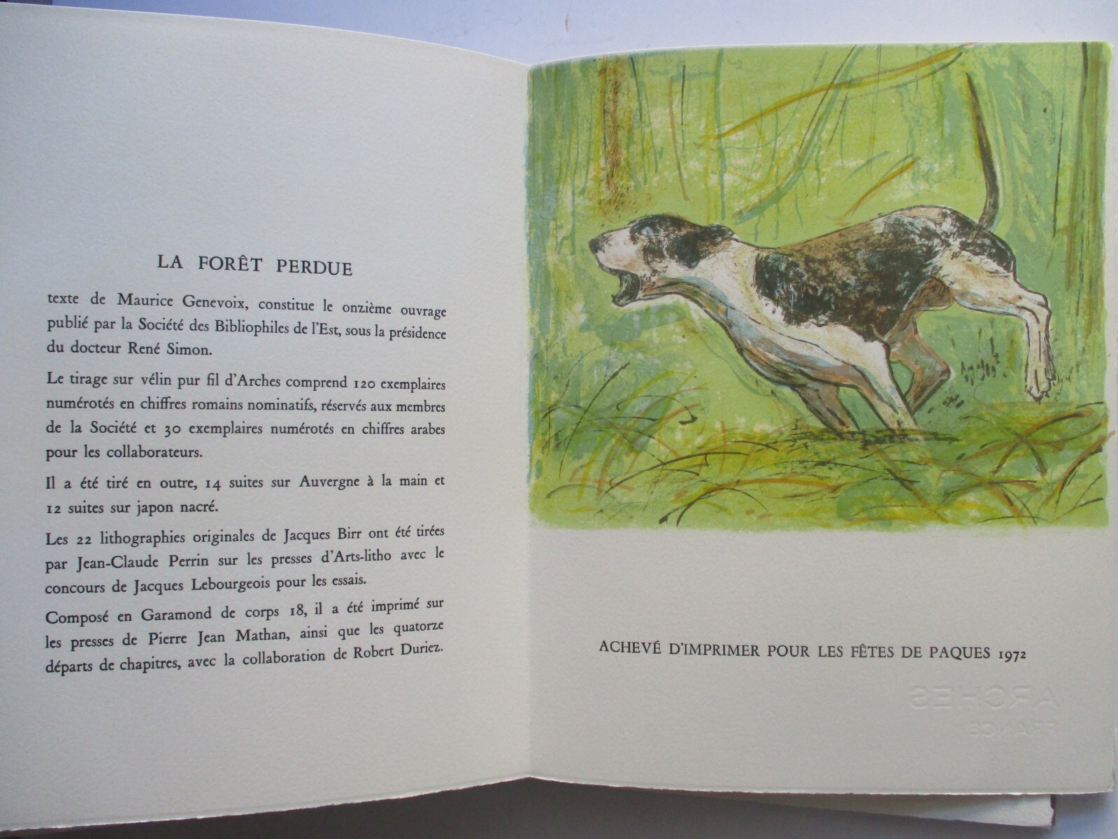 GENEVOIX Maurice / BIRR Jacques La FORÊT PERDUE Ex N°/Vélin ILL. Lithos ...