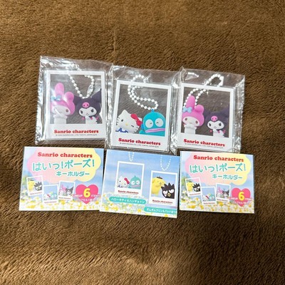 Sanrio Characters Yes! Pose! Keychain - My Melody & Kuromi, Hello Kitty ...