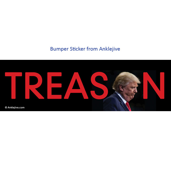 TREASON - Anti-Trump, Anti-GOP Liberal Window/Laptop/Bumper Sticker | eBay