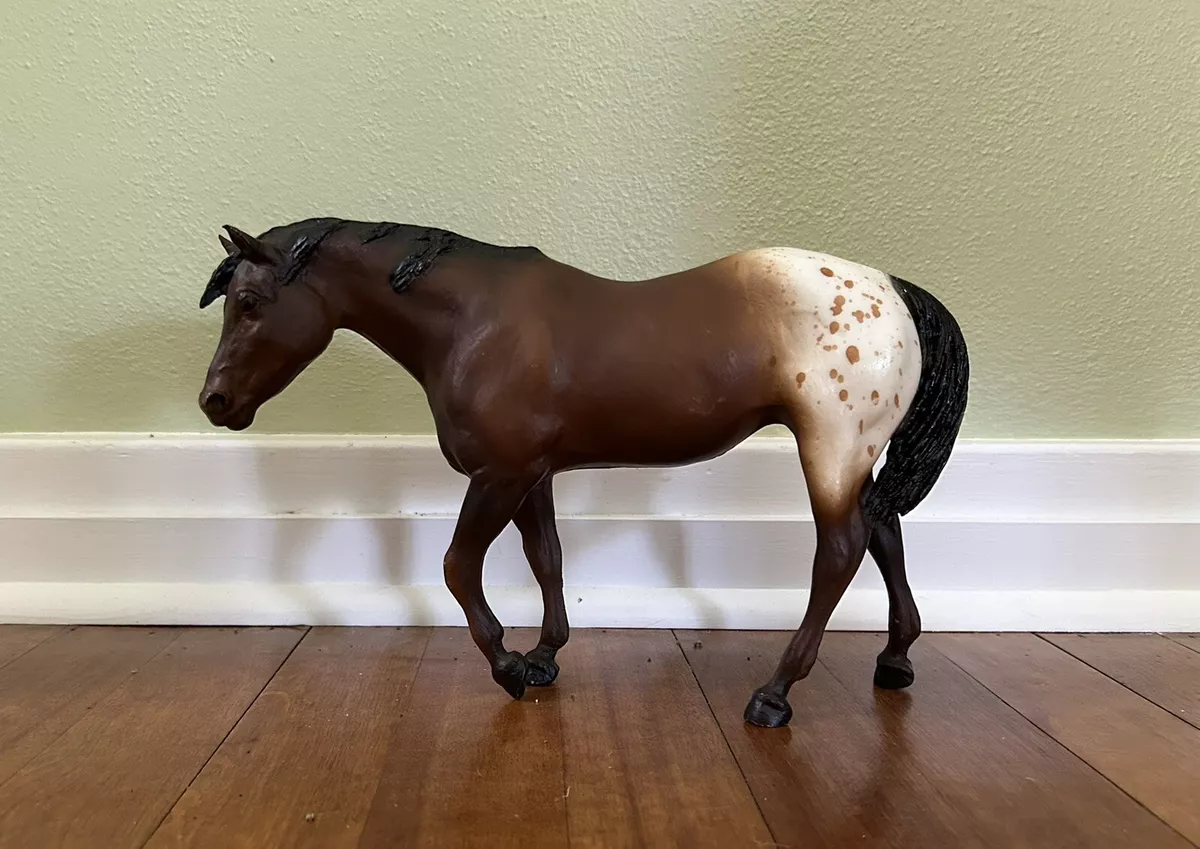 Bay Blanket Appaloosa