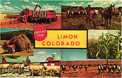 Limon Colorado Farming Banner Postcard 1950s Ranch Cows Cattle Hay Corn ...