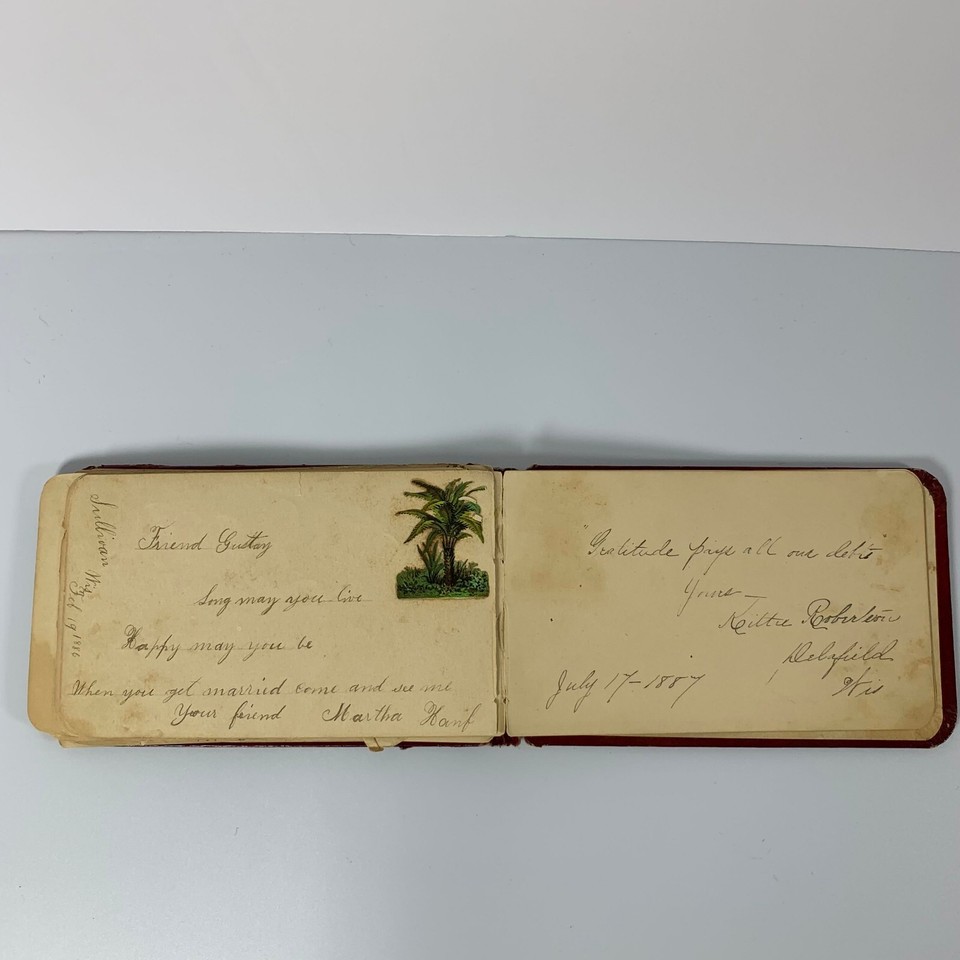 Antique 1886 Red Beautiful Girl Cover Memorabilia Old Autograph Album ...