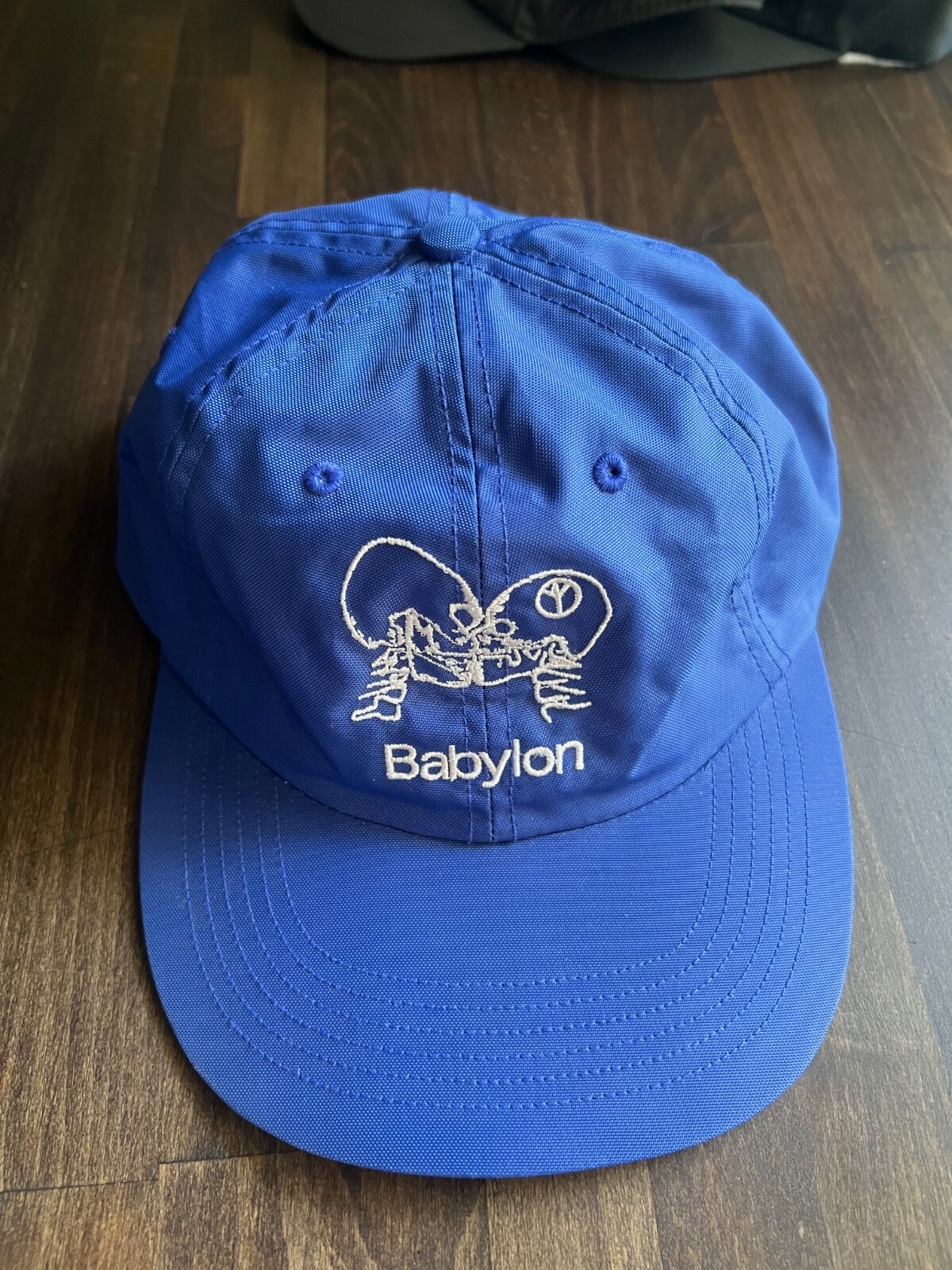 Babylon LA Blue Nylon Skulls Kissing Hat Cap - Gem